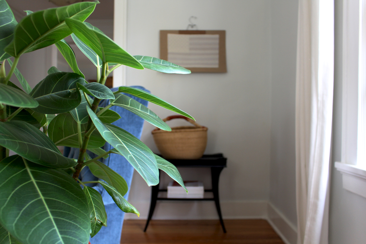 Storing & Managing Toys » Homesong